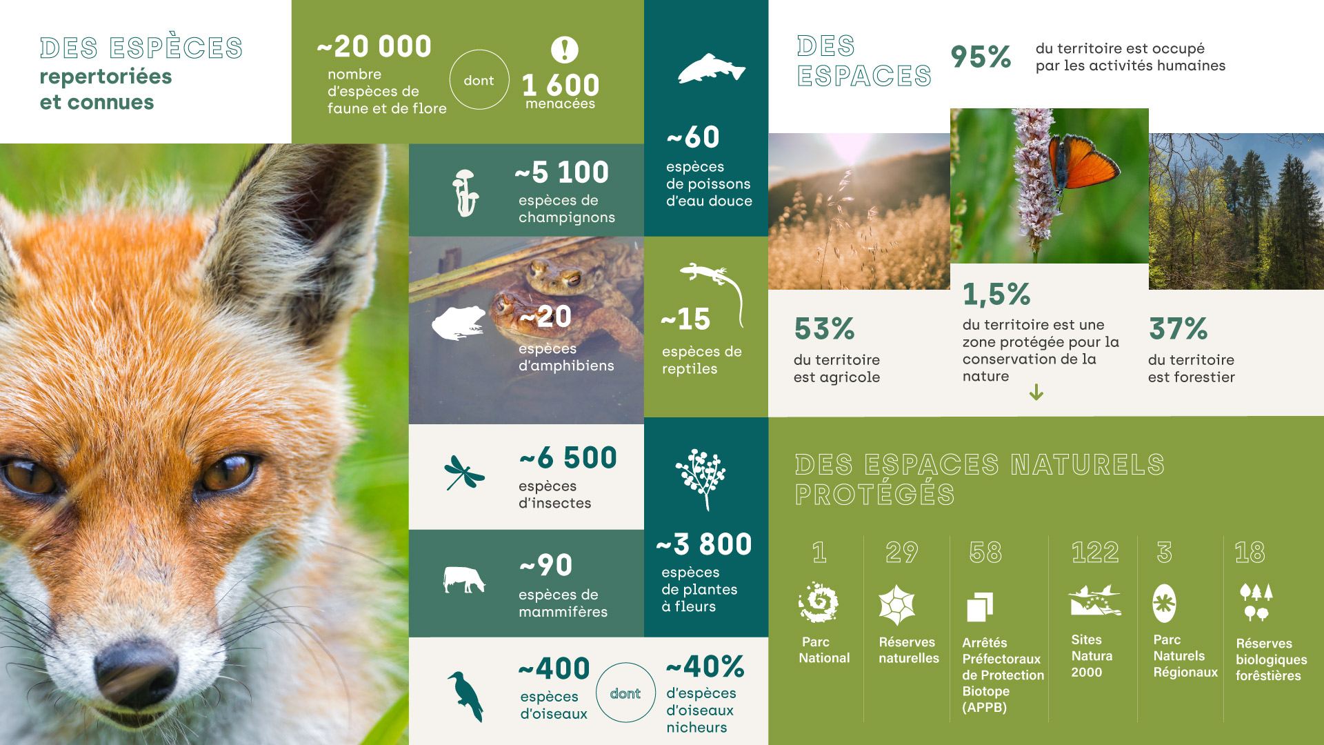 Découvrir La Biodiversité En Bourgogne Franche Comté Arb Bfc
